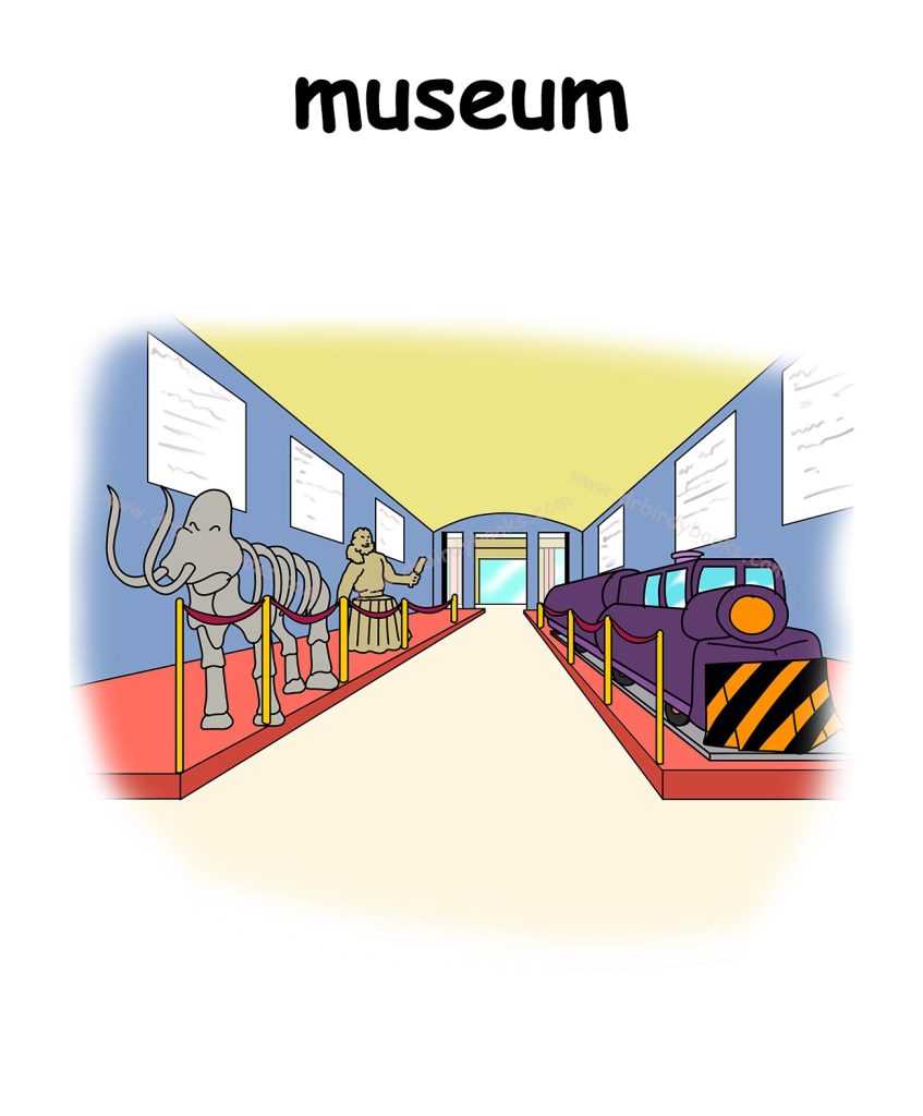 English Flashcards | Dr. Birdy Books