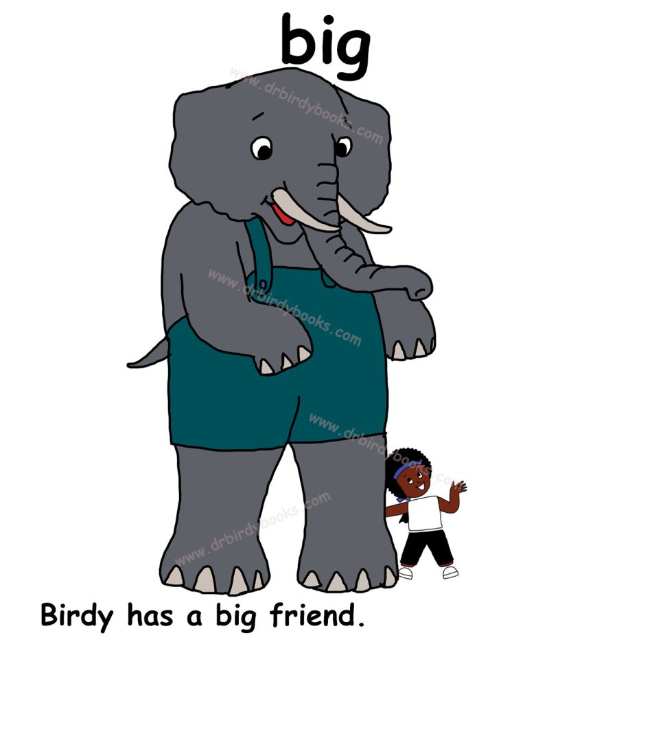 Shop | Dr. Birdy Books